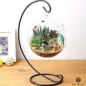 SunGrow 3 Hanging Glass Terrariums by Spherical Air Plant Orb, Handmade, Heat-Resistant Glass, Create Refreshing Atmosphere in Terrace Garden