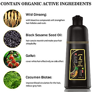 Instant Black Hair Shampoo Contained Natural Herb Ingredients 3 in 1 Hair Black Dye Shampoo, Good Choice for Gray Hair Coverage ,For Men Women White Hair, 500ML per Bottle, 16.9 Fl Oz (Pack of 1)