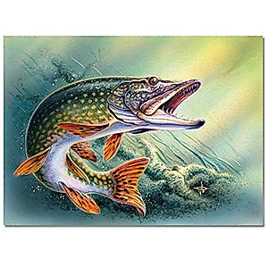 Indoor Area Rugs, 3D Bass Fish Roaring Design Pattern Non-Slip Rubber Backing Rug, Non-Shedding Floor Carpet Washable Throw Rug for Living Room Bedroom Dining Home, 2' x 3'
