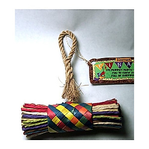 Planet Pleasures String and Buri Bundle Toy, Medium