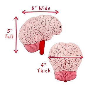 GIANTmicrobes Brain Plush, Brain Toy, Brain Stuffed Animal, Brain Gifts For Neurologist, Brain Surgery Recovery Gifts, Neurology Gifts, Neuroscience Gifts, Brain Injury Gift, Brain Decor, Biology Gift