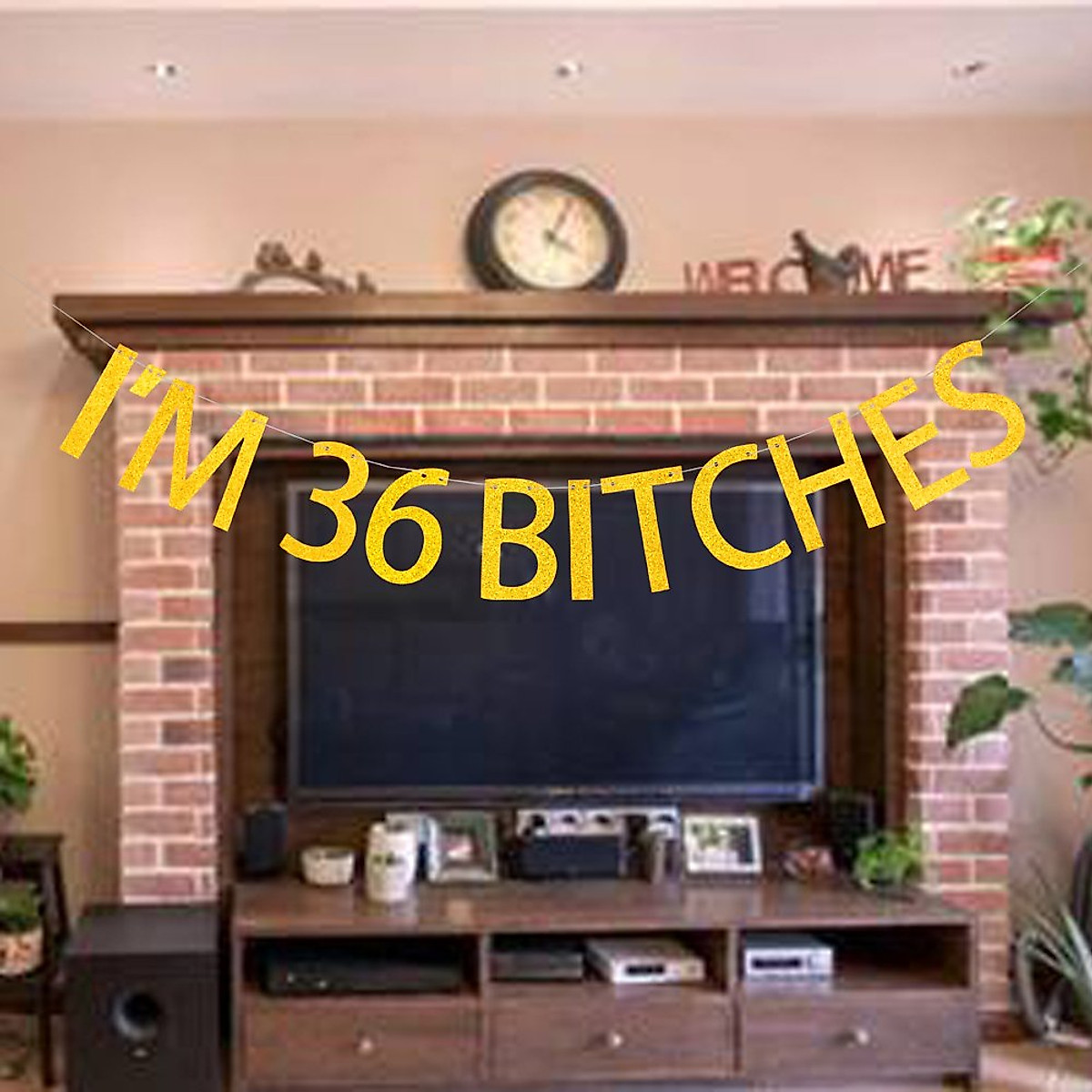 Minhero I 'm 36 Bitches Banner 36th Birthday Banner Party Decoration&Supplies.Gold Banner