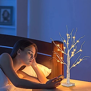 LED Lights Birch Tree, 2 Pack Branch Tree Lamp Christmas Decor, 24" Lighted Tree Light, USB/Battery Tabletop Tree Light with Timer Battery Powered for Home Festival Wedding Easter Decorations