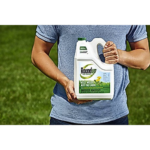 Roundup For Lawns1 Refill (Northern), 1.25 gal. - Lawn Safe Weed Killer For Northern Lawns - Kills Crabgrass, Dandelion, Clover and Yellow Nutsedge - Kills Weeds, Not the Lawn