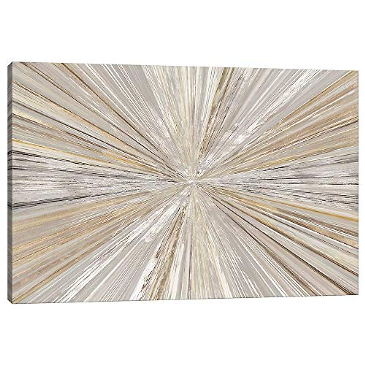 iCanvas TOR202 Shimmering Light I Canvas Print by Tom Reeves, 26" x 40" x 1.5" Depth Gallery Wrapped