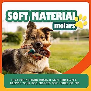 ALL FOR PAWS Classic Dog Pheasant Toys, Squeaky Dog Toys Stuffed Animal Dog Hunting Plush Toy, Large