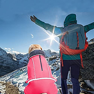 Doglay Dog Winter Coat with Thicken Furry Collar, Fleece Lining Reflective Warm Dog Jacket, Waterproof Adjustable Dog Clothes for Cold Weather, Soft Puppy Vest Apparel for Small Medium Large Dogs