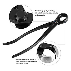 GLOGLOW 204mm 8inch Knob Branch Cutter, Garden Fruit Tree Hollow Concave Cutter Tool with Round Gardening Bonsai Tools Scissors