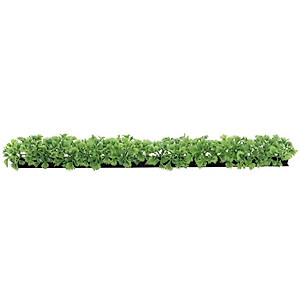 Dalebrook Green Luxury Parsley Divider with Black Base - 19 1/2"L x 2 1/8"H