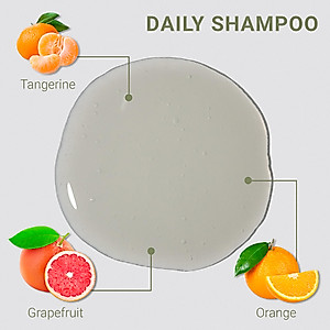 LOMA Daily Shampoo (clear formula) and Daily Conditioner (DUO PACK) 12 Ounce Each