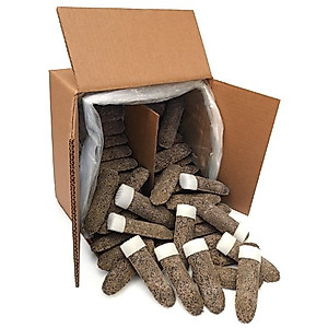 Winchester Gardens Landscaper Pack Palm Fertilizer Spikes 8-4-8, 70 Spikes/Case