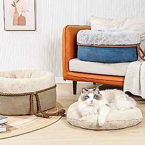 寵幸 Cat Beds for Indoor Cats - Donut Washable Small Pet Bed, 22 inches Anti-Slip Round Fluffy Plush Large Cat Bed, Warm and Thicked Dog Bed, Light Brown