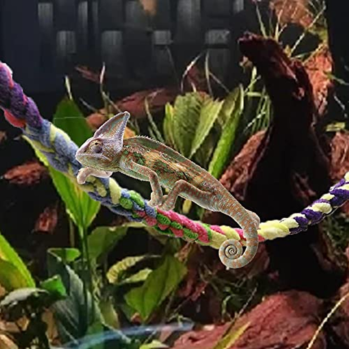 BNOSDM 4 Pcs Reptile Vines Snake Habitat Climbing Decor with 8 Suction Cups Lizard Terrarium Tank Accessories for Gecko Bearded Dragon Gecko Iguana Tree Frog Chameleon