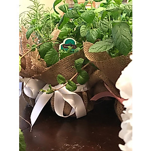 10 Inch* 15 Feet Gardening Burlap Roll - Natural Burlap Fabric, Burlap Table Runners High Density Jute Fiber Material for Decorations, Center Pieces for Home, Rustic Party Décor