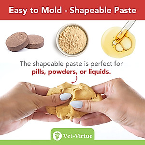 VET-VIRTUE Pill Masking Paste for Dogs, Bacon Flavor - Perfect Pet Medicine Treats to Hide Pills, Medication & Capsules, with Natural Ingredients & Packed with Flavor Dogs Love