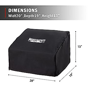 Portable Propane Gas Grill 2-Burner Tabletop Clearview Monument Grills with cover