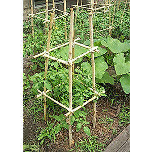 Hydrofarm HGBB3 3' Natural, pack of 25 Bamboo Stake, Tan