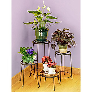 Achla Designs FB-30 Argyle Wrought Iron Plant Stand, 8-inch H, Graphite