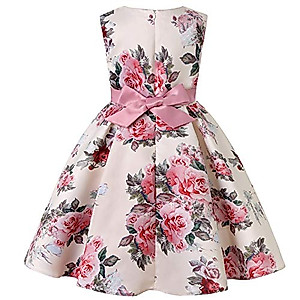 NSSMWTTC Flowers Girls Wedding Dresses Toddler Christmas Toddler Floral Printed Party Dress Size 3T(Cameo Brown,100)