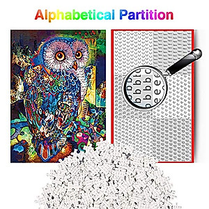 Jigsaw Puzzles 1000 Pieces for Adults, Owl Puzzle, Fun Oil Painting Animal Puzzles for Education & Relaxation, Brain IQ Developing, Funny Puzzles for Christmas