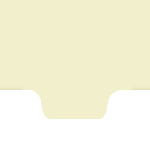 Individual Chart Divider Sheets Used to Build Chart Divider Sets for Medical Practices, 1/6th Cut, Tabs on Bottom, Position: #5, Blank (Pack of 100)