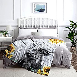 Highland Cow Blanket Super Soft Flannel Sunflower Cow Throw Blanket Warm Lightweight Blanket for Adults Kids Gifts 50"X40"