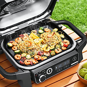 GRISUN Enamel Cast Iron Griddle for Ninja Woodfire Grills (OG700 Series), Outdoor Flat Top Griddle Plate, Compatible with XSKGRDPLT for Ninja OG701, Griddle Pan with Oil Hole, Insert