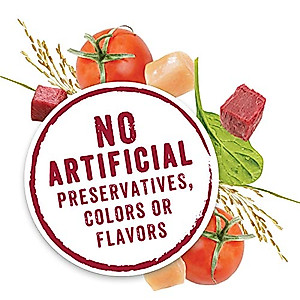 Beneful Purina Wet Dog Food Variety Pack, Incredibites & Medleys - (30) 3 oz. Cans