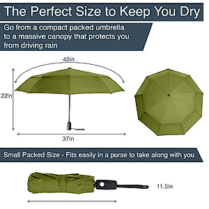 RainPlus Windproof Travel Umbrella - Compact, Automatic, Folding and Portable - Umbrellas For Rain for Men and Women - Car, Backpack, Purse, Strong & Wind Resistant (Green)