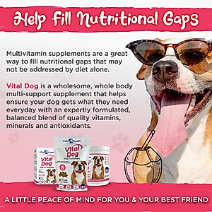 Vital Planet - Vital Dog Multi Vitamin Powder Supplement for Everyday Health with Vitamins, Minerals and Antioxidants for Dogs - Beef Flavored Powder, 30 Servings, 75 Grams