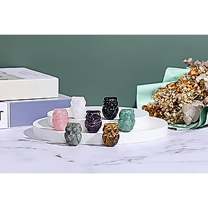 CrystalTears Amethyst Crystal Owl Figurine Ornament Carved Natural Healing Crystal Gemstone Animal Statue for Home Office Decor Reiki Healing Good Luck Crystal Gift for Christmas