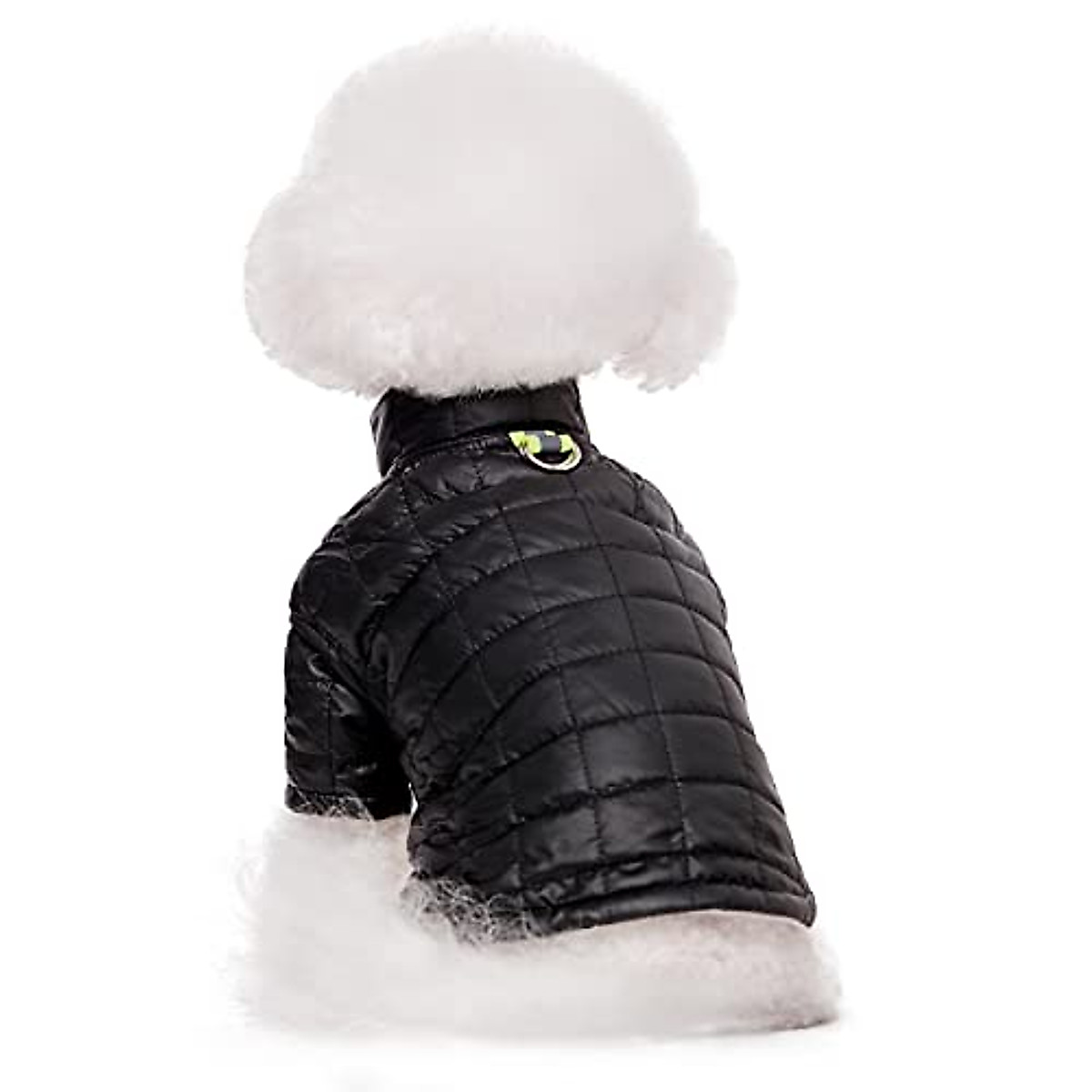 Miaododo Winter Small Medium Dog Coat Windproof,High Collar Dog Jacket Cotton-Padded for Puppy Cat Doggie Pets Dog Clothes Apparel Clothing with Zipper and D Ring