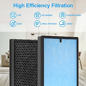 2 Pack AP1002 H13 True HEPA Replacement Filter AP1002-RF, Compatible with AIRTOK AP1002 Air Purifier.