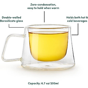 VAHDAM, Double Wall Glass Coffee Mugs (2 Pieces) Insulated Cups - 6.7oz Capacity, DURABLE & STYLISH | Tea Cup Set