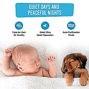 Air Purifiers for Home Large Room Bedroom Offices Living Room by De.Life H13 TRUE HEPA Air Filter with UV Light, Eliminate 99.98% Germs, Toxins, Smoke, Allergies and Pet Dander, Real Time Air Quality LED Screen Smart Display, Ultra Quiet Purifier