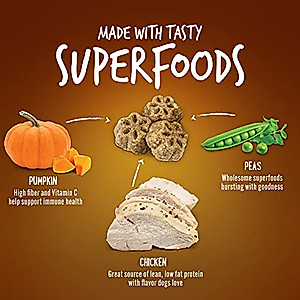 Fruitables Skinny Mini Dog Treats – Healthy Treats for Dogs – Low Calorie Training Treats – Free of Wheat, Corn and Soy – Rotisserie Chicken – 5 Ounces