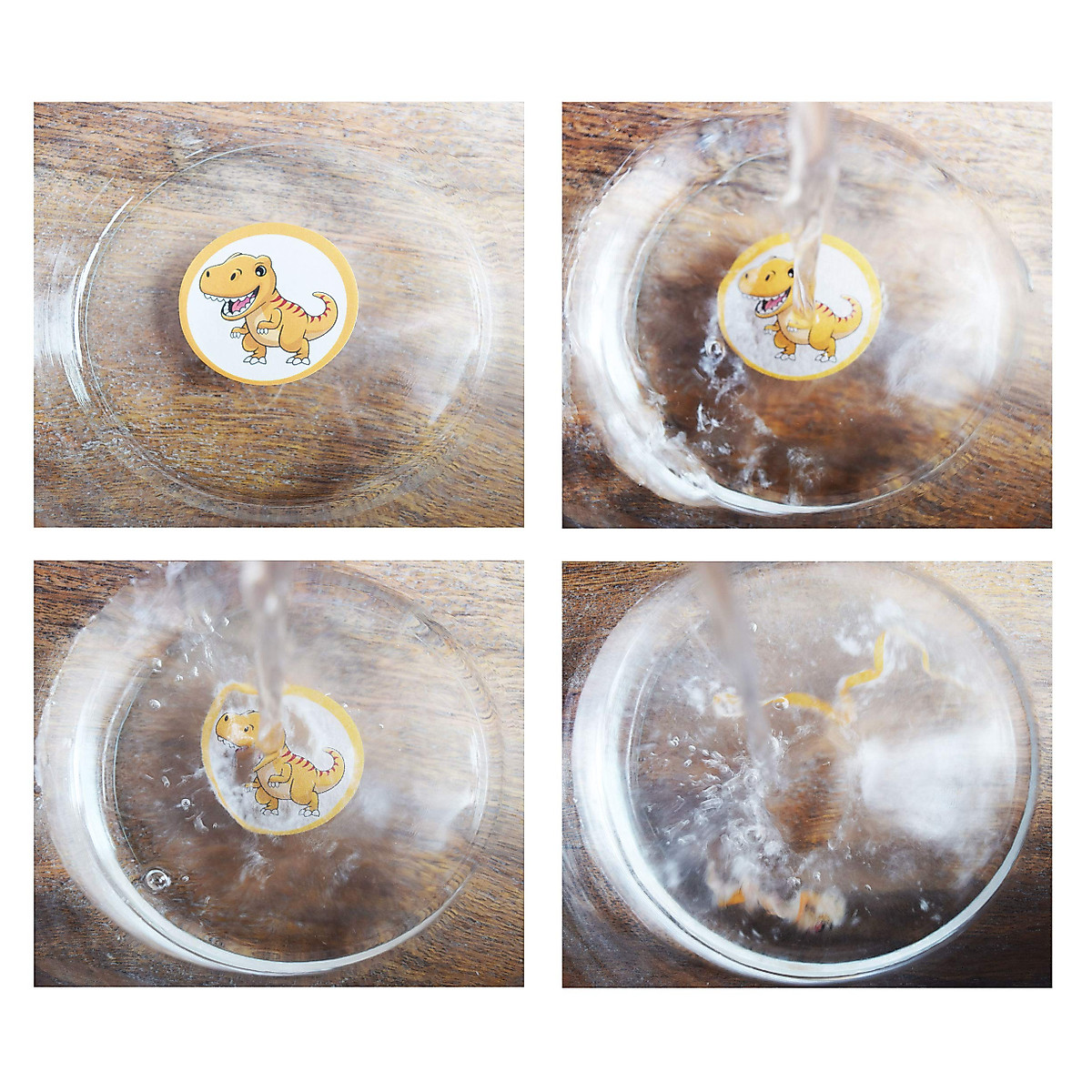 Corner Canyon Products 75 Count Dinosaur Toilet Targets, 2x2 Inch Paper, Green, Indoor Use, Flushable, Biodegradable, Sewage Safe, Potty Training Targets for Boys