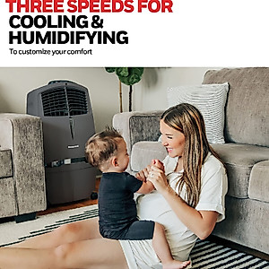 Honeywell 525 CFM Indoor Portable Evaporative Air Cooler, Fan & Humidifier with Ice Compartment & Remote, Gray