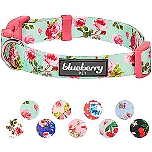 Blueberry Pet 7 Patterns Spring Scent Inspired Floral Rose Print Turquoise Adjustable Dog Collar, X-Small, Neck 8"-11"