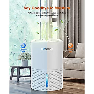 Dehumidifiers - 34oz(1000ml) Small Dehumidifiers for Home Bedroom Bathroom Basement Closet RV, 2200 Cubic Feet (220 Sq ft) Auto-off Portable and Compact Ultra Quiet Mini Electric Dehumidifier