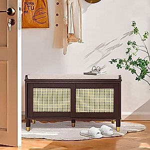 Anbuy Shoe Storage Bench for Entryway with Rattan Door, Rattan Shoe Rack Bench entryway Bench, Shoe Cabinet with Soft Cushion, Holds 300 lb, 31.5 x 13.78 x 19.1 inches (Red Brown)
