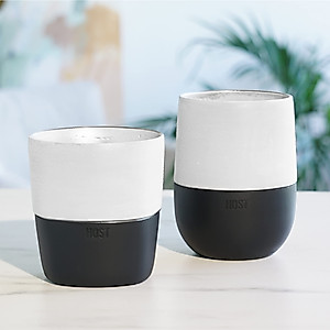 Host Wine Freeze Pro Cooling Cup, 12oz Stainless Steel Double Wall Tumbler, Freezable Cup, Mothers Day Gifts, Best Gifts for Women, Wife Gifts