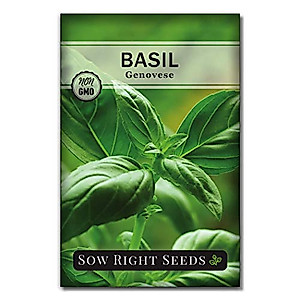 Sow Right Seeds - Spring Vegetable Seeds Collection for Planting - Individual Packets Basil, Broccoli, Carrot, Onion, Cauliflower, and Peas, Non-GMO Heirloom Seeds to Plant an Outdoor Home Garden