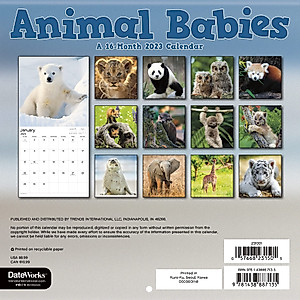 2023 Animal Babies Mini Wall Calendar