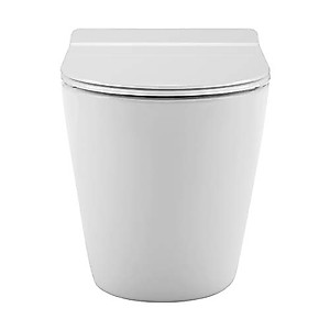 St. Tropez Back to Wall Concealed Tank Toilet Bowl, Black Hardware