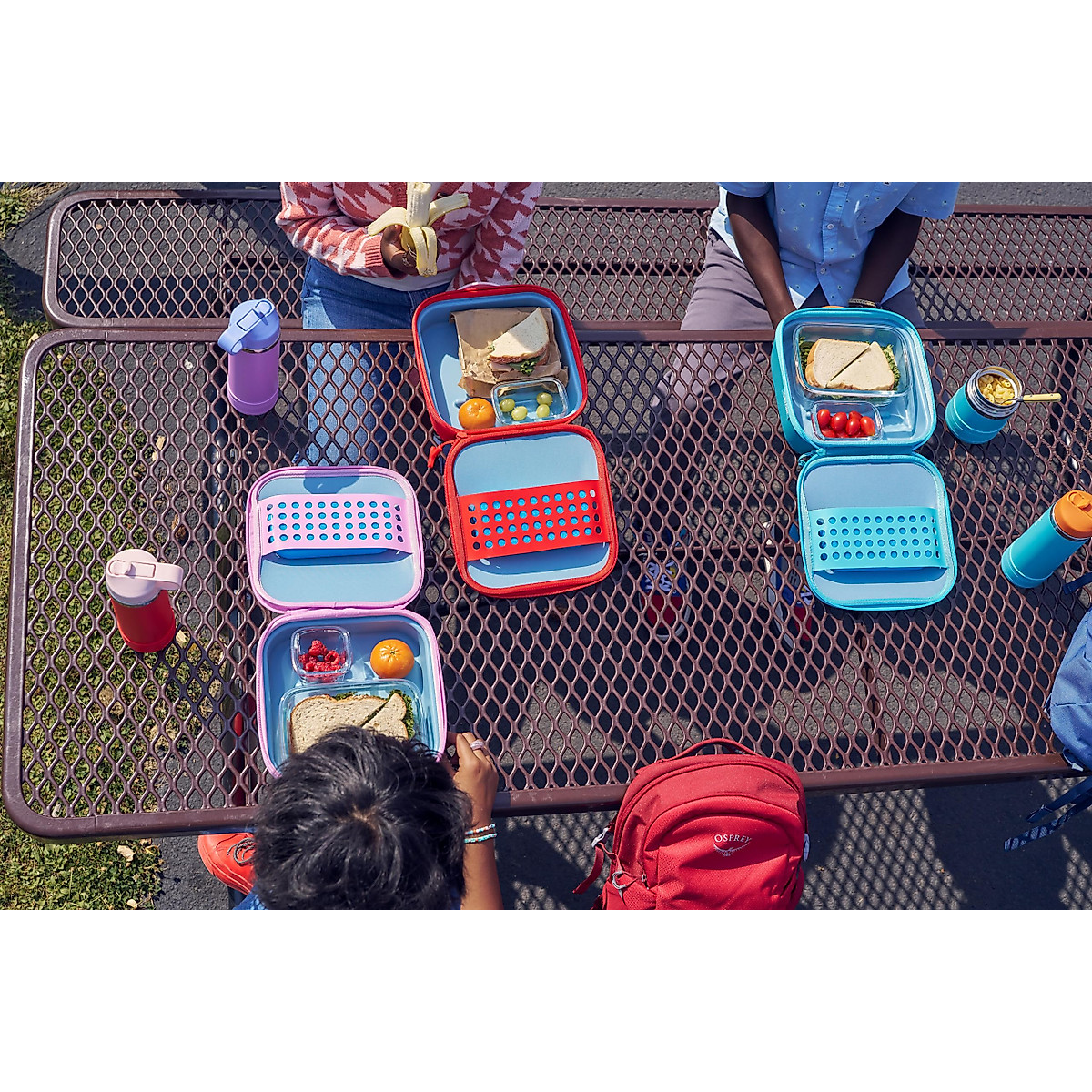 Hydro Flask 12 Oz Kids Insulated Food Jar and Boot Anemone