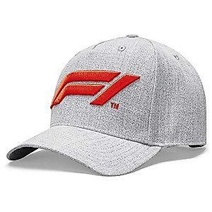 Formula 1 Tech Collection F1 Logo unisex-adult Hat Gray