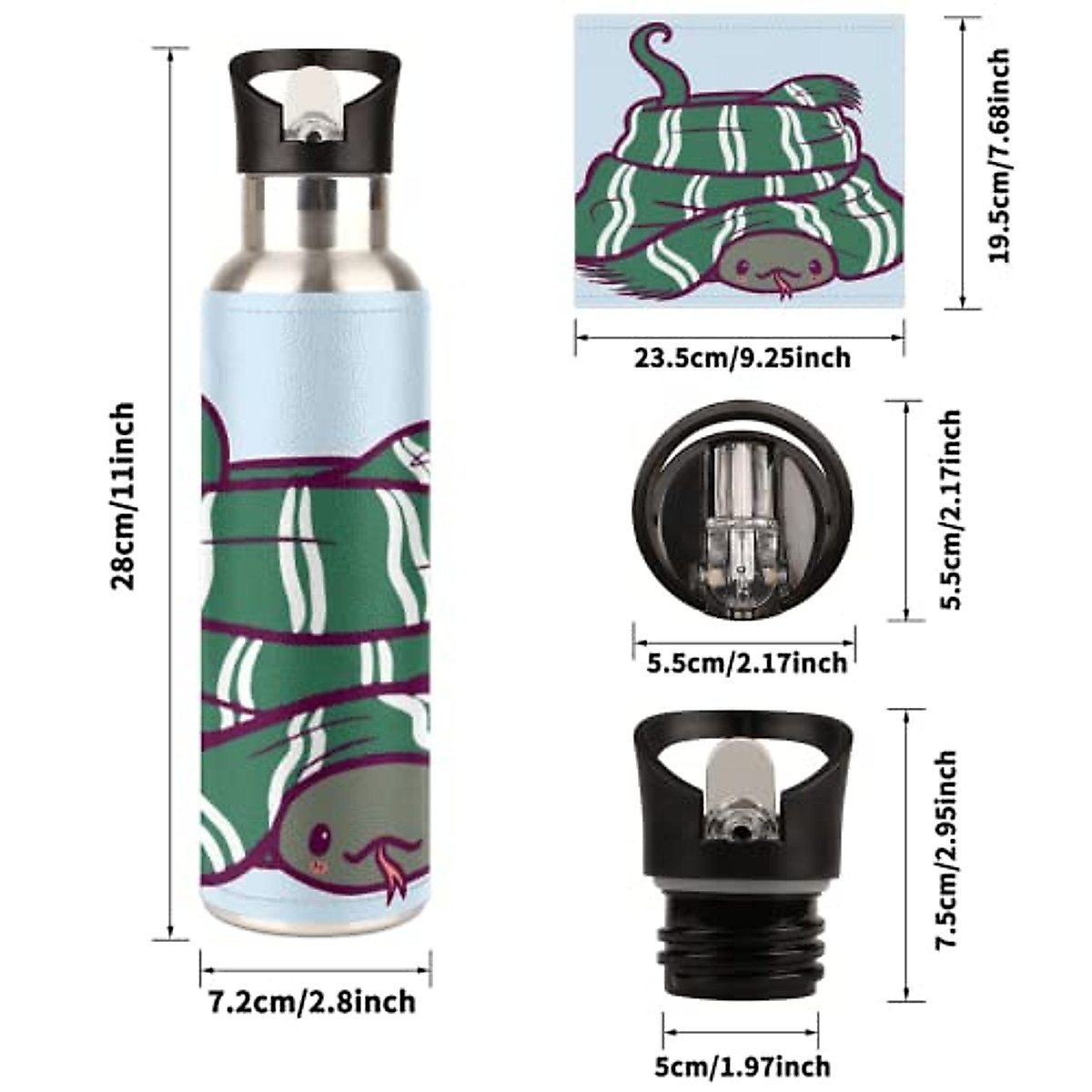 DJYQBFA Funny Snake Animal Scarf Water Bottle Modern BPA Free Water Bottles Vacuum Insulated Stainless Steel Water Bottle with Straw for Gym Travel Hiking, 600ml