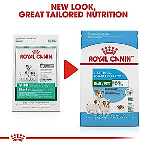 Royal Canin Size Health Nutrition Small Starter Mother And Babydog Dry Dog Food, 2 Lb