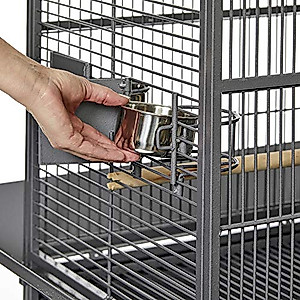 MidWest Homes for Pets Nina Bird Cage-Platinum Play Top